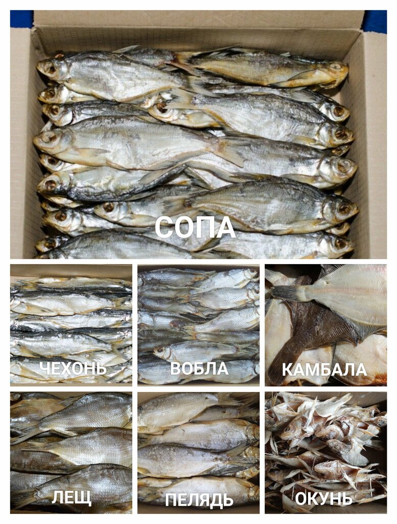 Market Рыбный дворик, Çeliabinskaya oblastı, foto