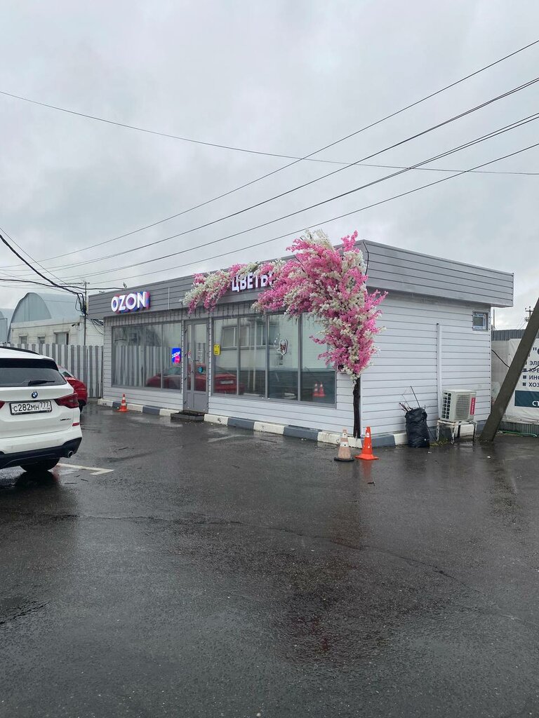 Pasta, şekerleme ve tatlı Цветы и сладости, Moskova, foto