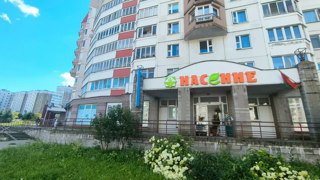 Tohum satan yerler Насенне, Minsk, foto