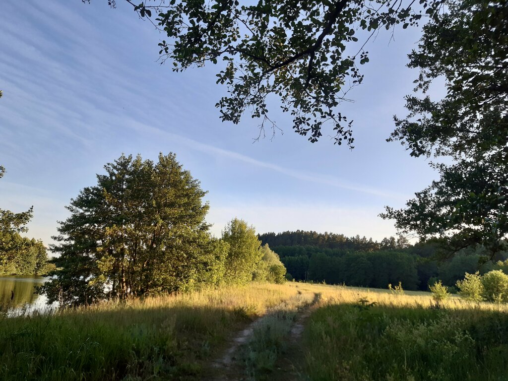 Plaj Пляж, Mordovya, foto