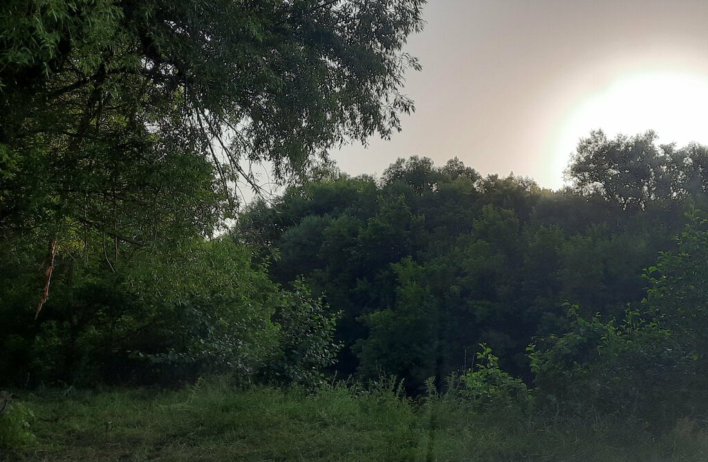 Plaj Пляж, Orenburgskaya oblastı, foto