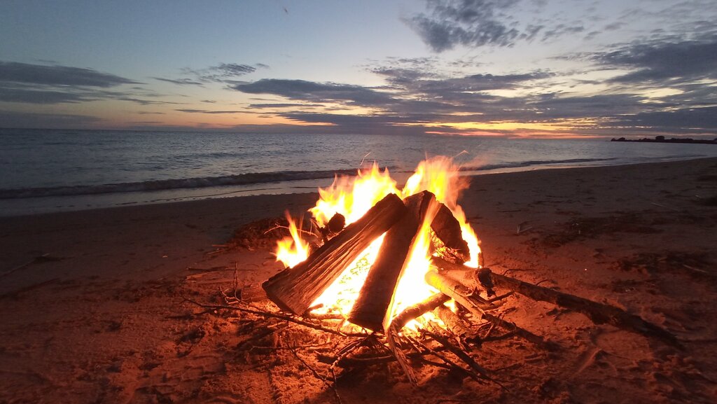 Piknik alanı Place for picnic, Pskovskaya oblastı, foto