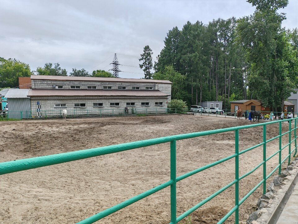 At ve binicilik kulüpleri Конный клуб, Novosibirsk, foto