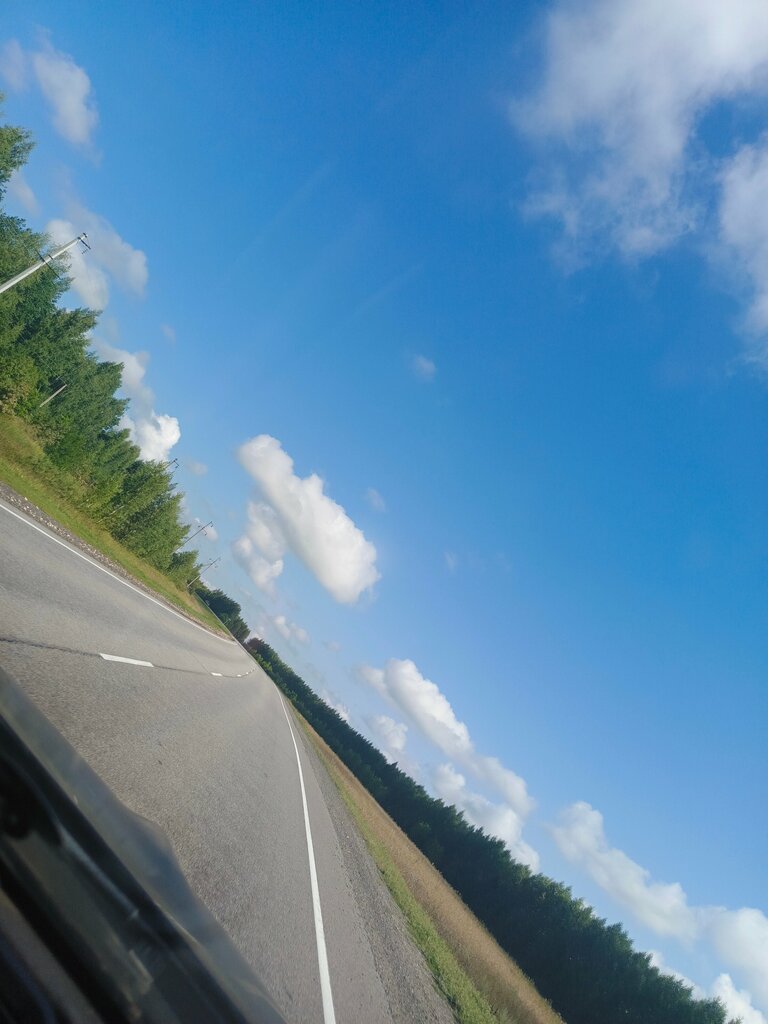 Orman Липлейский лес, Penzenskaya oblastı, foto