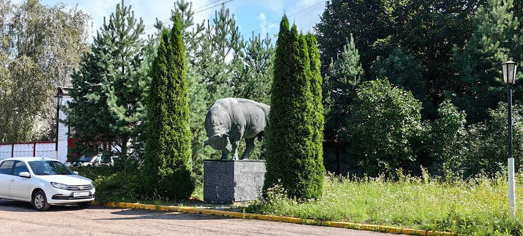Hayvancılık Smolenskoye po plemennoy rabote, Smolenskaya oblastı, foto