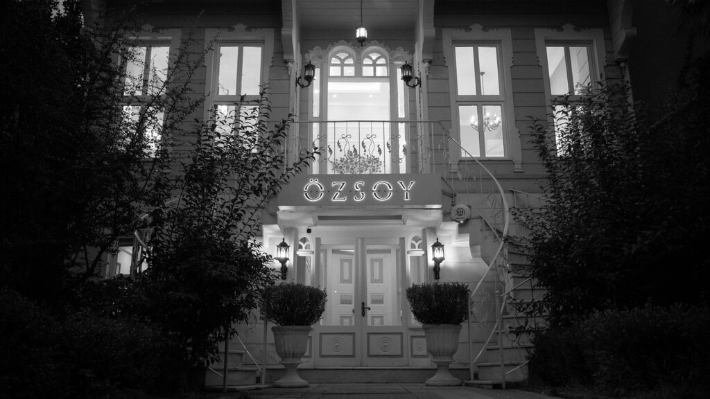 Hukuk büroları Özsoy Hukuk ve Danısmanlık, İstanbul, foto