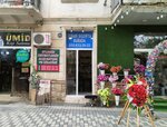 İcbari Sığorta Burada (Dədə Qorqud küçəsi No:112), finansal danışmanlık  Gence'den