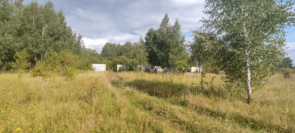 Kültür ve eğlence parkları Барский сад, Riazanskaya oblastı, foto