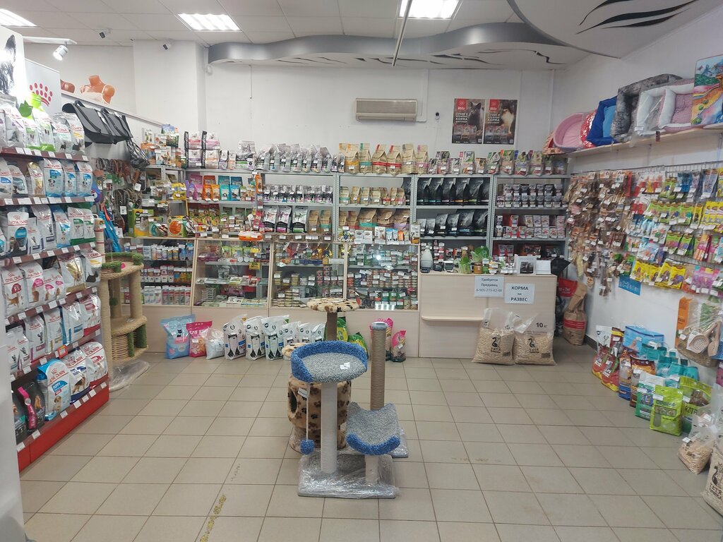 Petshop Cat&Dog, Saint‑Petersburg, foto