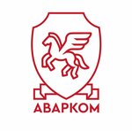 Avariynyye Komissary (Smolniy Buyan Street No:20к4), trafik güvenlik müfettişi  Arhangelsk'ten