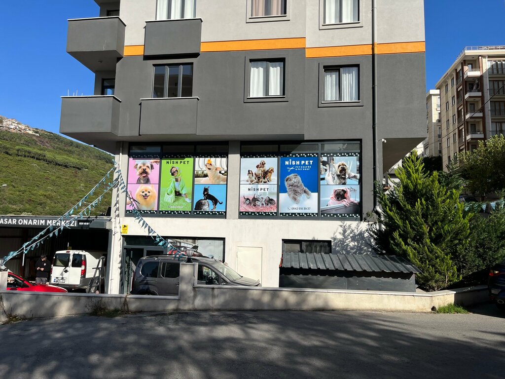 Petshop Nish Pet Kuaför & Petshop, İstanbul, foto