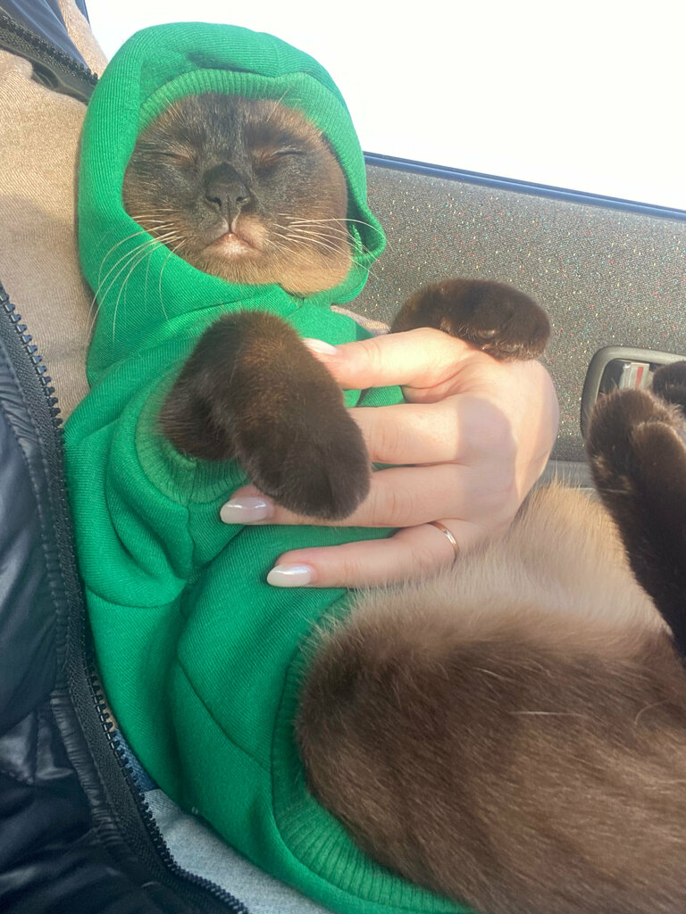 Veteriner eczaneleri Krasnodarzoovetsnab, Kropotkin, foto