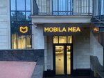 Mobila Mea (Chisinau, strada Pietrăriei), mobilya mağazaları  Kişinev'den