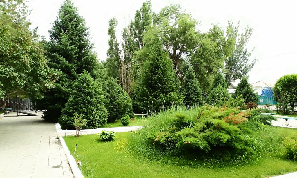Tıp merkezleri ve klinikler Zire, Taldıkorgan, foto