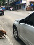 Internacional Seguros (Luanda Province, Municipality of Luanda, Ingombota), aracı şirketler  Loanda'dan