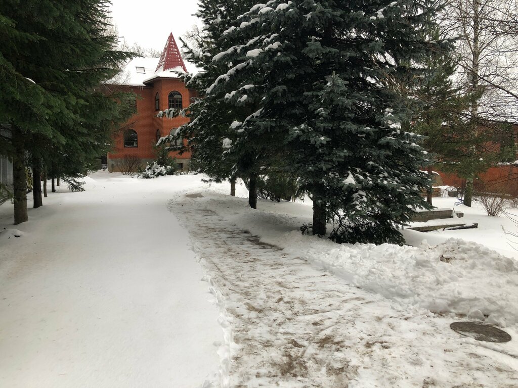 Uzman hizmetleri Nauchu risovat, Puşkino, foto