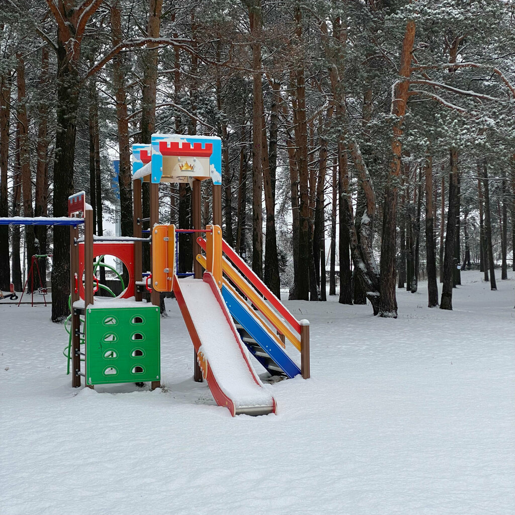 Kültür ve eğlence parkları Сосновый парк, Vologodskaya oblastı, foto