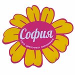 Sofia (Moscow Region, Pushkino), çiçekçiler  Puşkino'dan