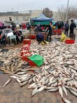 Fish Market (Tashkent Region, Chinaz District, Yangi Chinoz shaharchasi), gıda pazarı  Taşkent eyaletinden