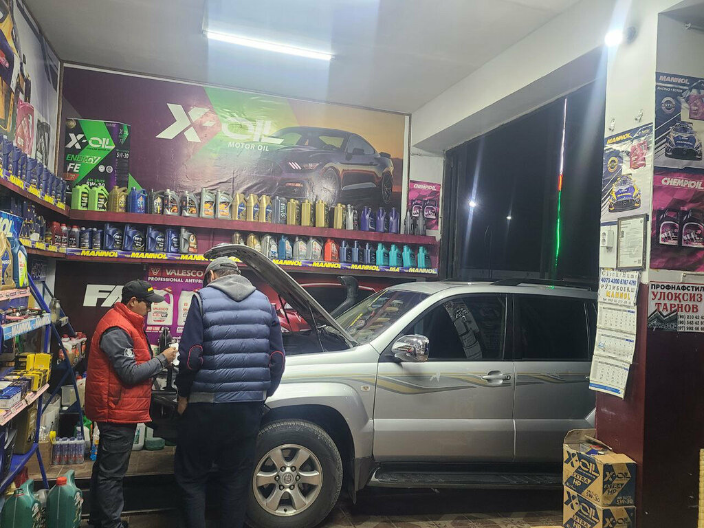 Otomobil servisi Маннол, , foto