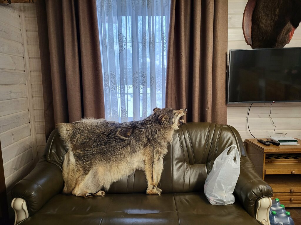 Avcılar ve balıkçılar Панская сядзіба, Grodnenskaya oblastı, foto