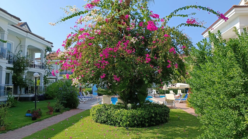 Kısa süreli konaklama Legend Apartments, Fethiye, foto