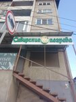 Сибирские погреба (ulitsa Marshala Koneva No:46), bira dükkanı  Irkutsk'tan