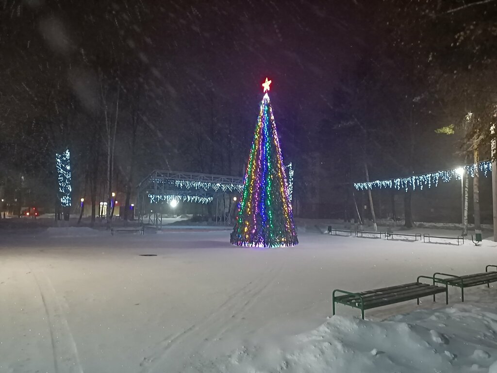 Kültür ve eğlence parkları парк Победы, Yaroslavskaya oblastı, foto