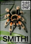 Smithi (ulitsa Lenina No:9), hayvanat bahçesi merkezi  Yasny'den