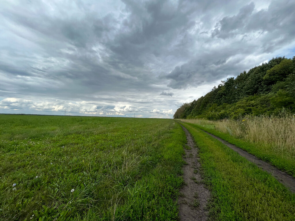 Orman Имение Кильдишевых, Mordovya, foto