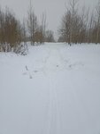 Лыжная трасса (Moscow Region, Dmitrovskiy Urban District, Territorialnoye upravleniye № 2 Administratsii Dmitrovskogo gorodskogo okruga), kayak merkezleri  Moskova ve Moskovskaya oblastından
