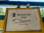 Красный Холм (Moscow Region, Voskresensk Urban District, Beloozyorskiy, ulitsa 50 let Oktyabrya), toplu taşıma durağı  Belooziorski'den