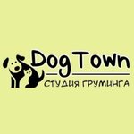 Dog Town (Vladimira Nevskogo Street No:15), evcil hayvan kuaförleri  Voronej'den