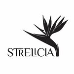 Strelicia (Saingilo Street No:42), lojistik firmaları  Tiflis'ten