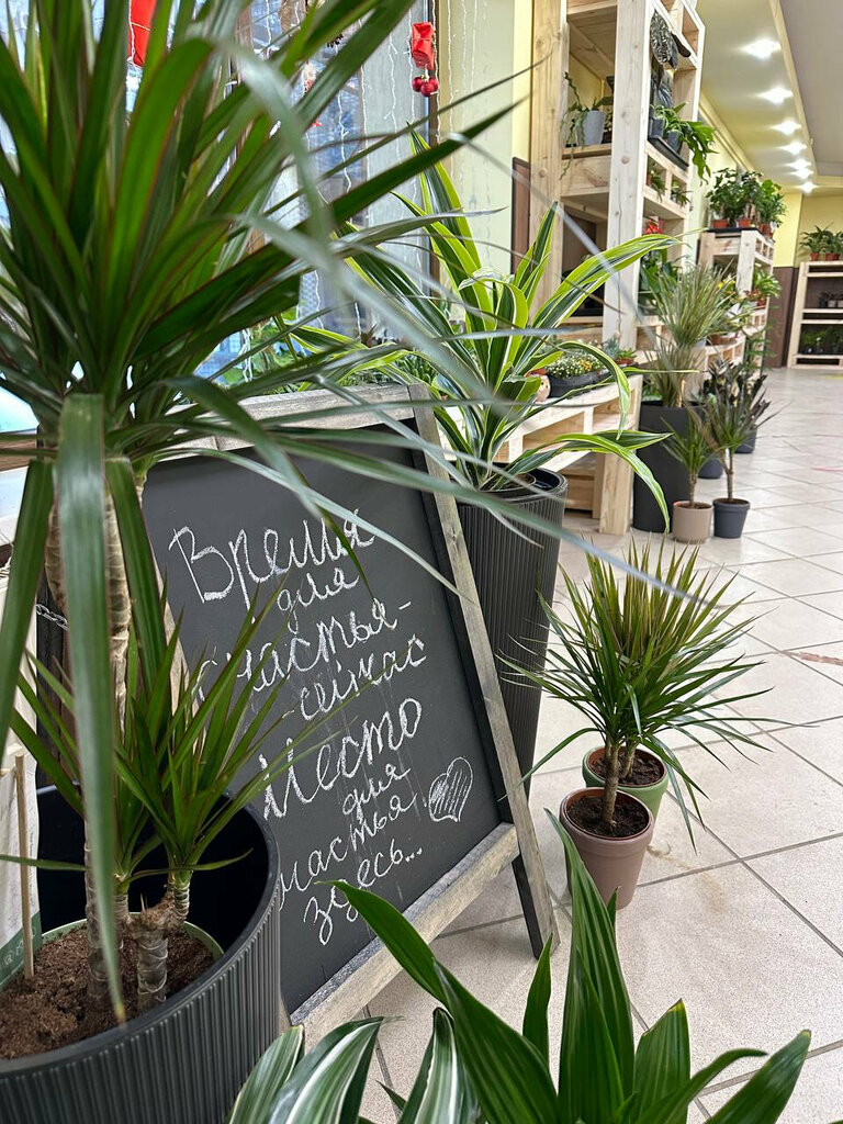 Çiçekçiler Закоренелый цветочник, Saratov, foto