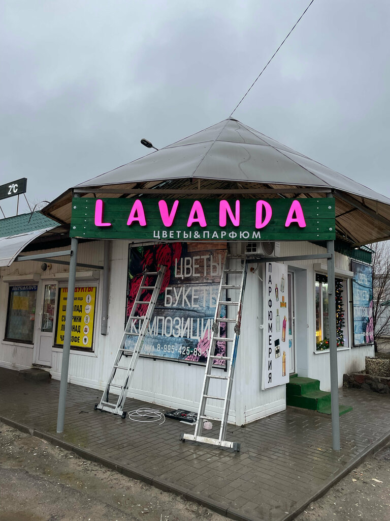 Çiçekçiler Lavanda, Uriupinsk, foto