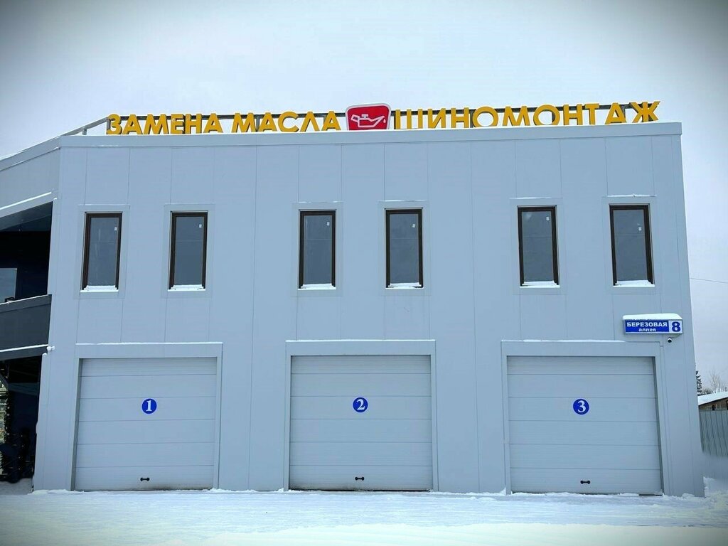 Otomobil servisi Service-m1, Krasnoznamensk, foto