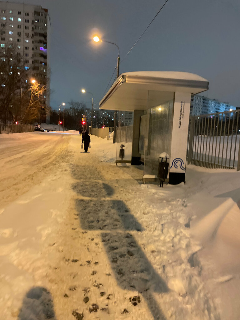 Toplu taşıma durağı MCD Mosselmash, Moskova, foto