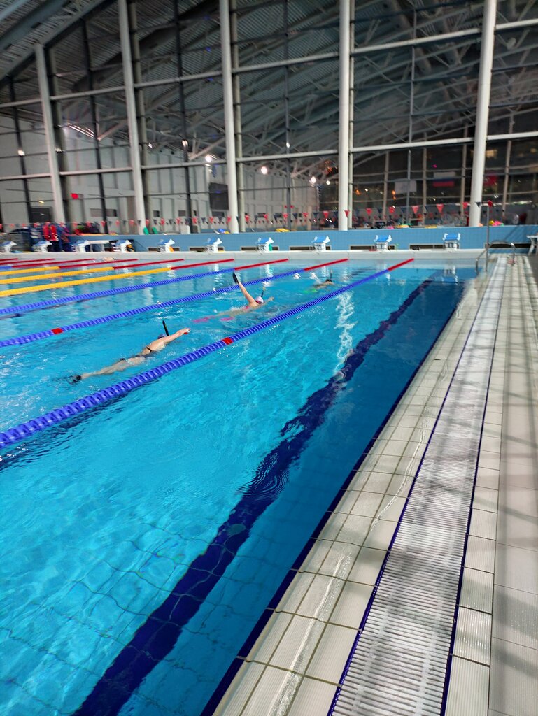 Spor kulüpleri Swimming Open Water Club, Moskova, foto