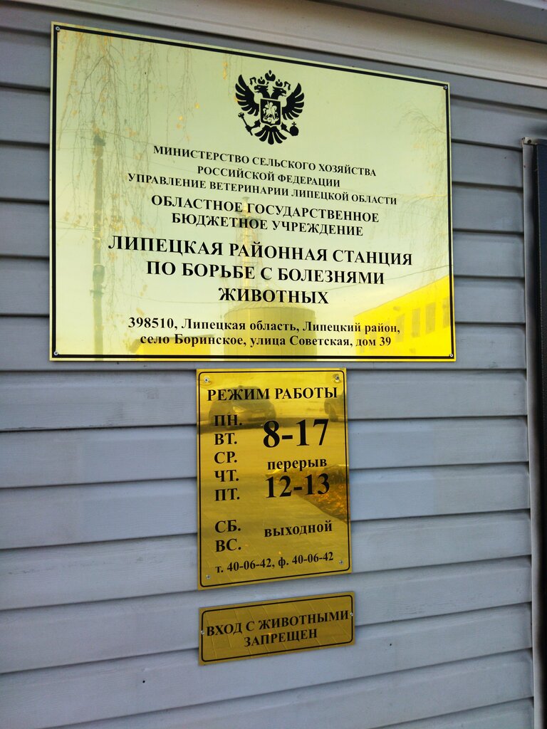 Veteriner klinikleri Липецкая городская станция по борьбе с болезнями животных, Lipetsk, foto