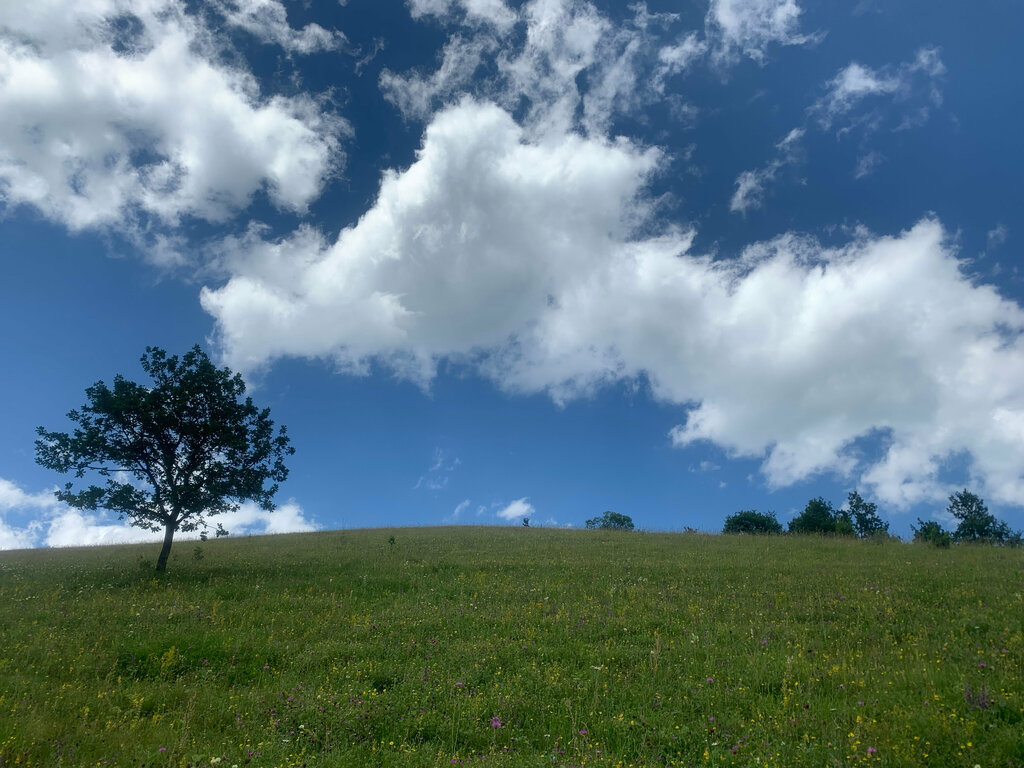Dağ zirvesi Isavonc thumb, Lori, foto