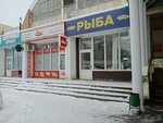 Рыбное место (60-letiya SSSR Avenue No:20Б), balık ve deniz ürünleri  Lipetsk'ten