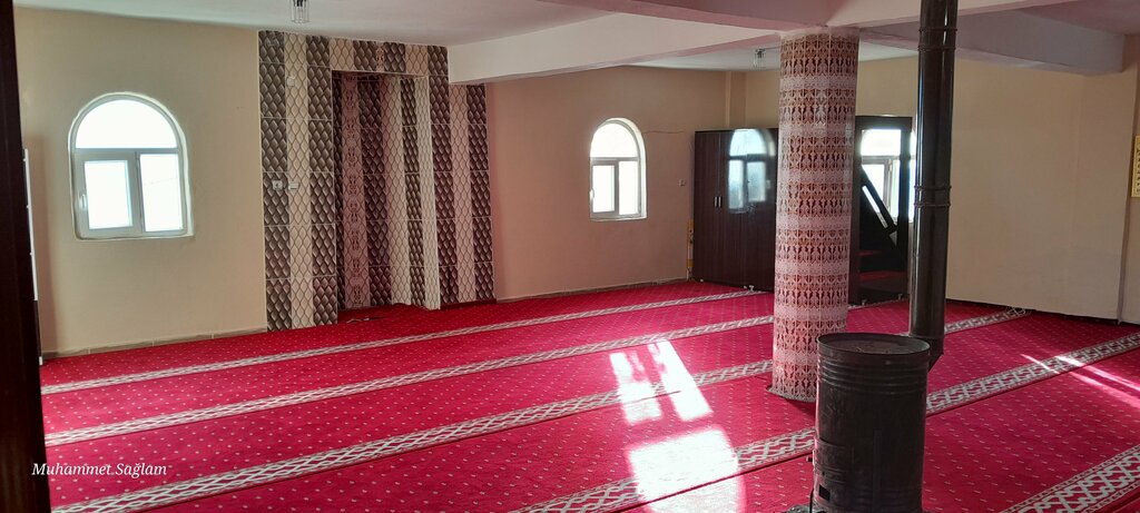 Cami Sarıyaprak Köyü Cami, Pervari, foto