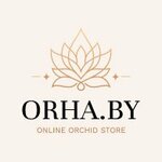 Orha.by (Skryganava Street No:16), çiçek teslimatı  Minsk'ten