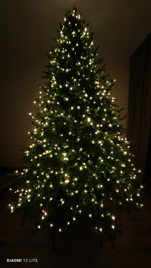 Yapay çam ağaçları ve süsleri 3x Market, Nijni Novgorod, foto