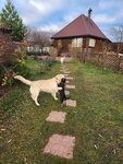 Ozer House (Rechnaya ulitsa No:17, derevnya Gat), pet otel  Orlovskaya oblastından