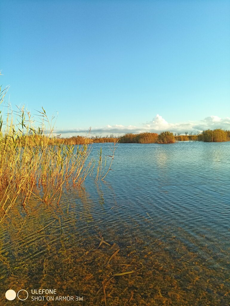 Resort oteller, tesisler База отдыха, Krasnodarski krayı, foto