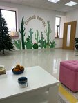 Lysyy Kaktus (Lenina Street No:275), epilasyon  Stavropol'dan