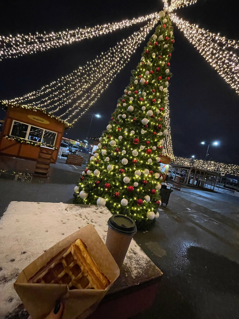Fast food Вафельный домик, Kotelniki, foto