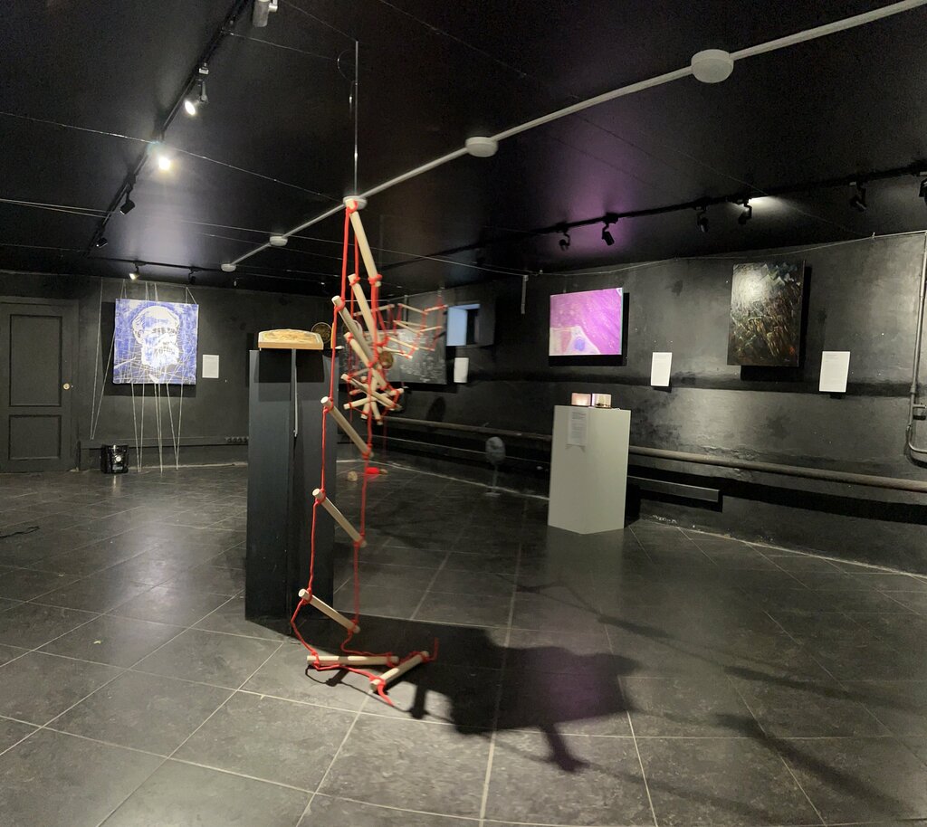 Sergi salonları, galeriler Glubina, Moskova, foto